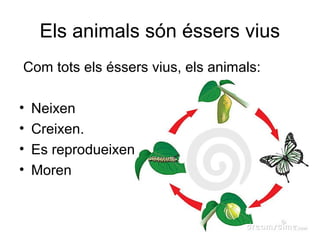 Els animals vertebrats | PPT