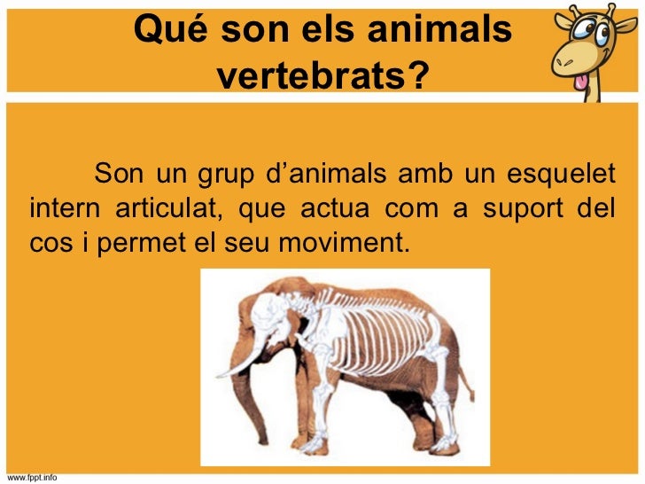 Els animals vertebrats
