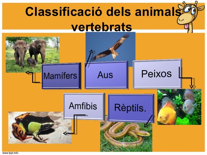ENTUSIASMA'T AMB LA VIDA: Medi
