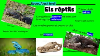 Els animals vertebrats | PPTX