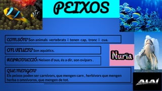 Els animals vertebrats | PPTX