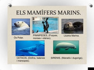 Els animals vertebrats i invertebrats g erard 1 [reparado] | PPT