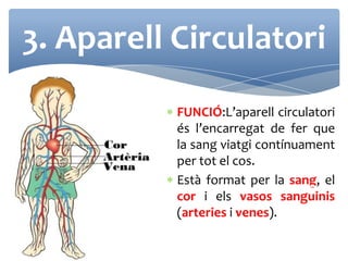 Elsaparellsqueintervenenalanutrici (1) | PPT