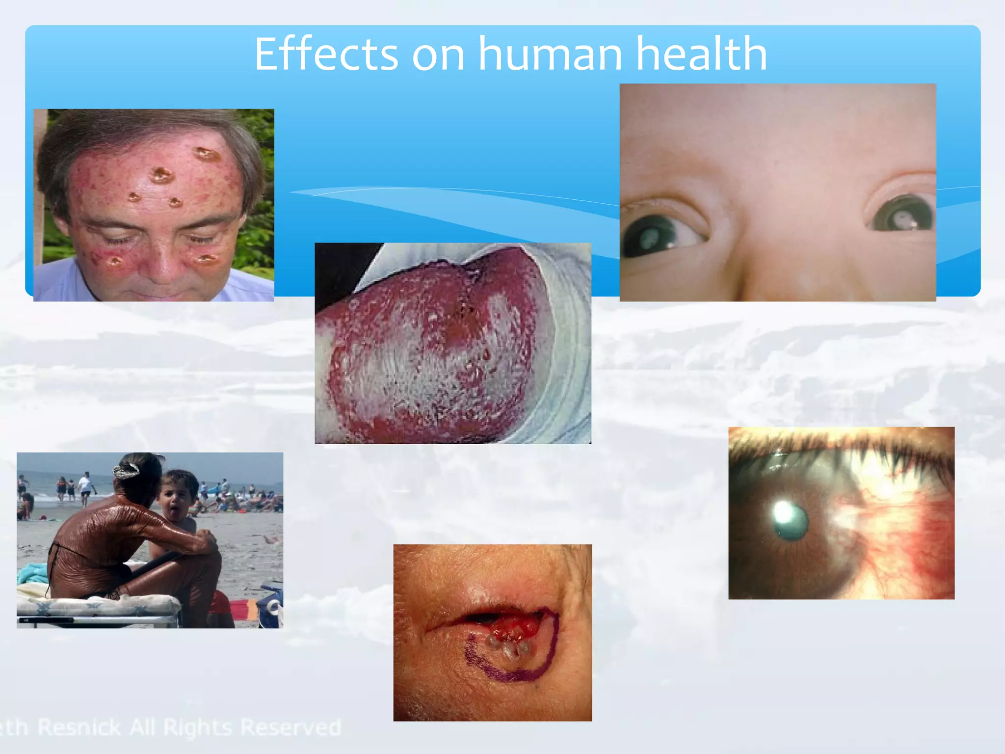 Ozone Layer Depletion Ppt