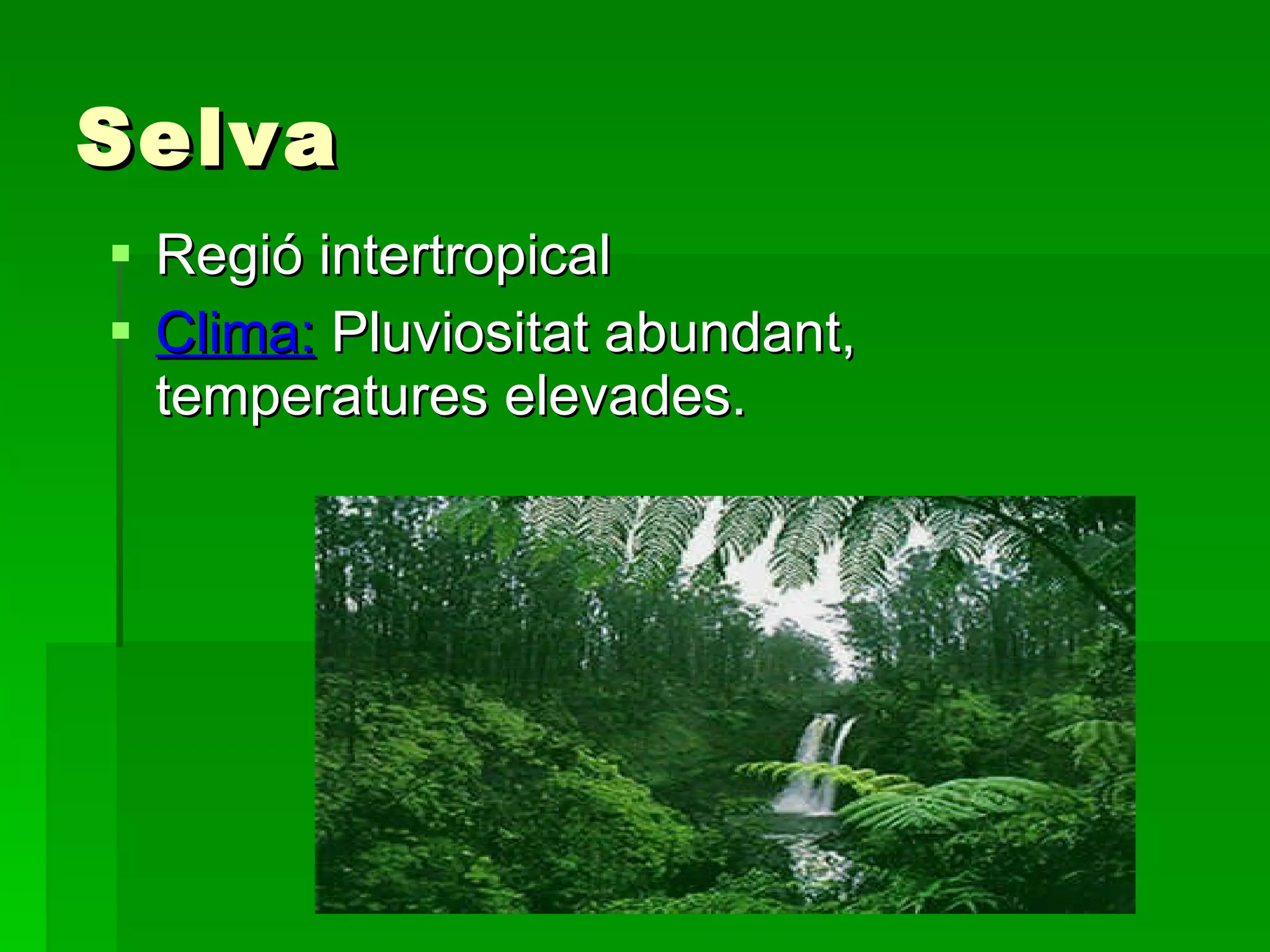 Els biomes | PPT