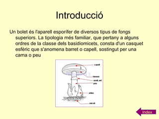 Els bolets | PPT
