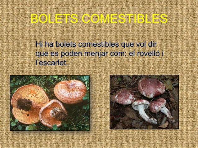 Els bolet sjudit | PPSX