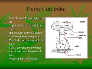 Els boletsnil | PPSX