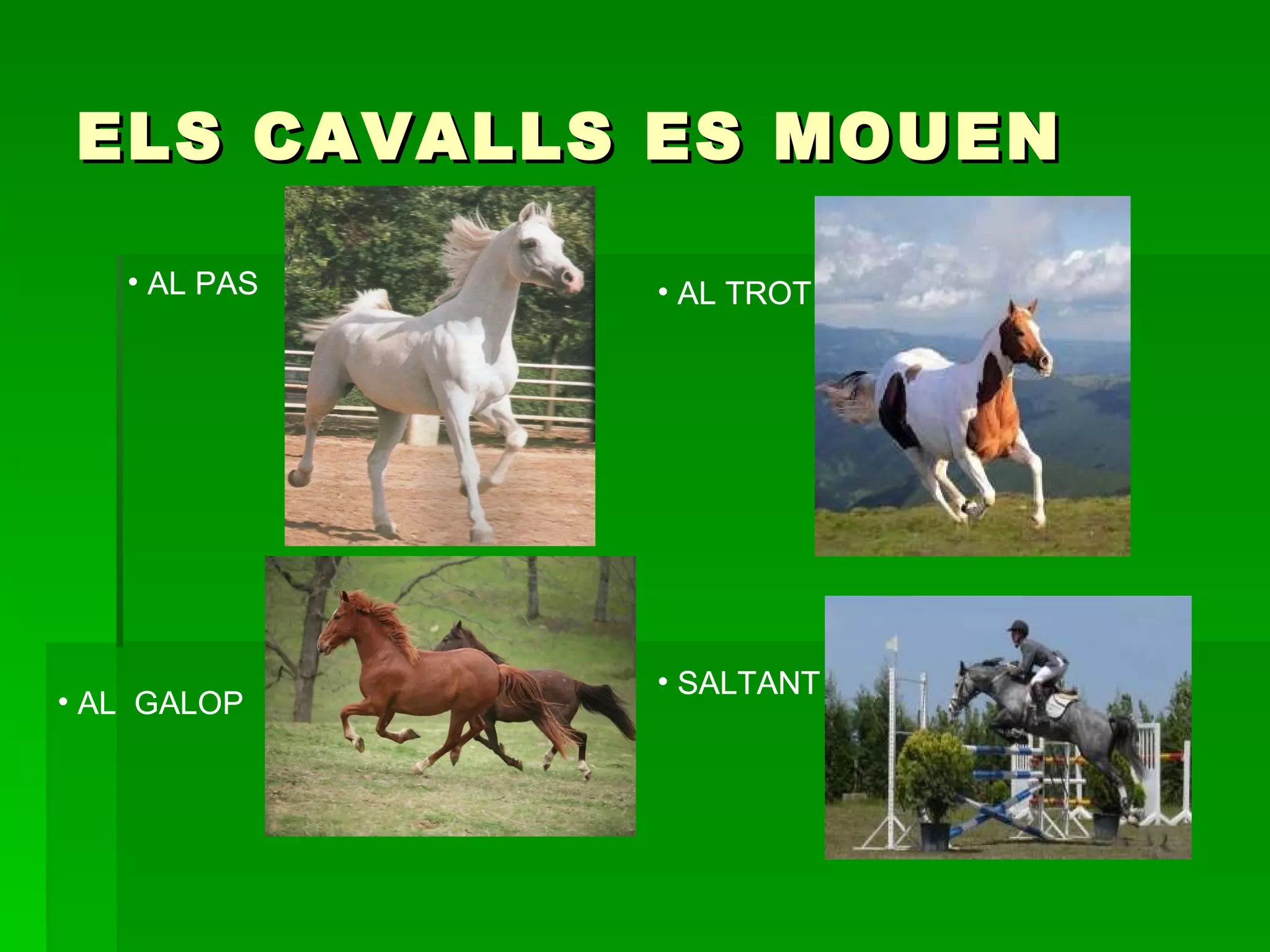 Els cavalls | PPS