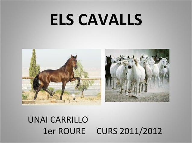 Els cavalls | PPT