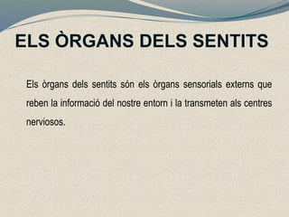 Els cinc sentits | PPT
