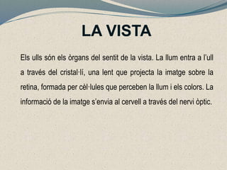 Els cinc sentits | PPT