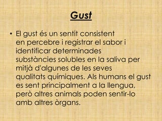 Els cinc sentits | PPTX