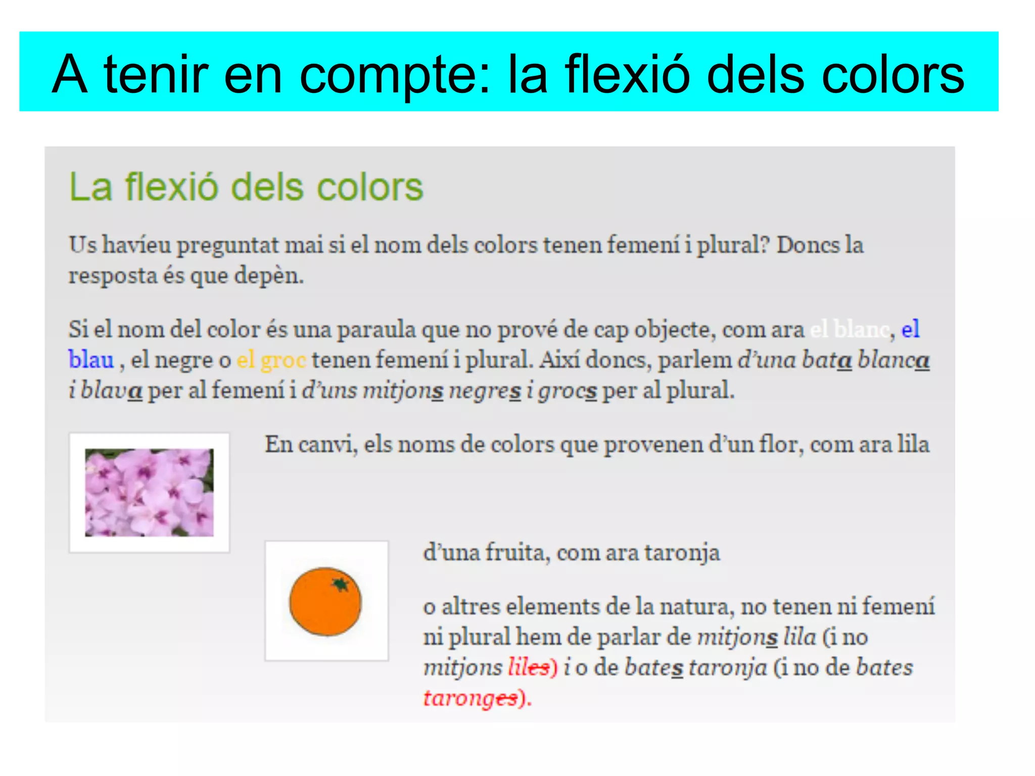 Els colors | PDF
