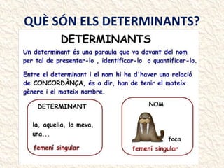 Els determinants | PPTX