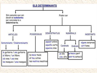 Els determinants | PPTX