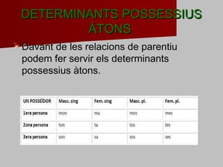 Els determinants demostratius, possessius i interrogatius | PPT