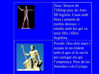 Els Deus De L’Olimp | PPT