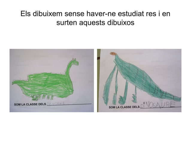 Els dinosaures | PPS