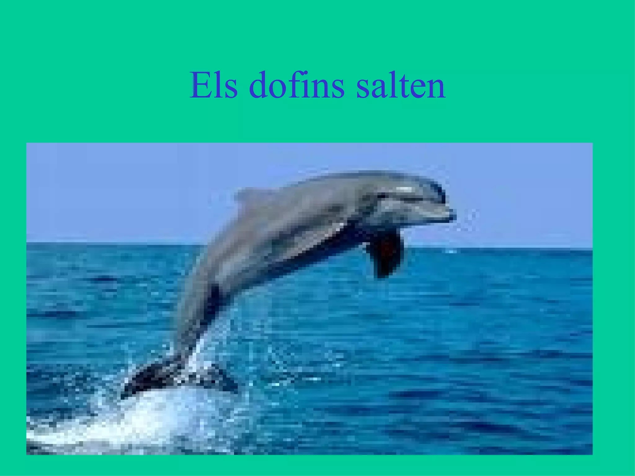 Els Dofins | PPT