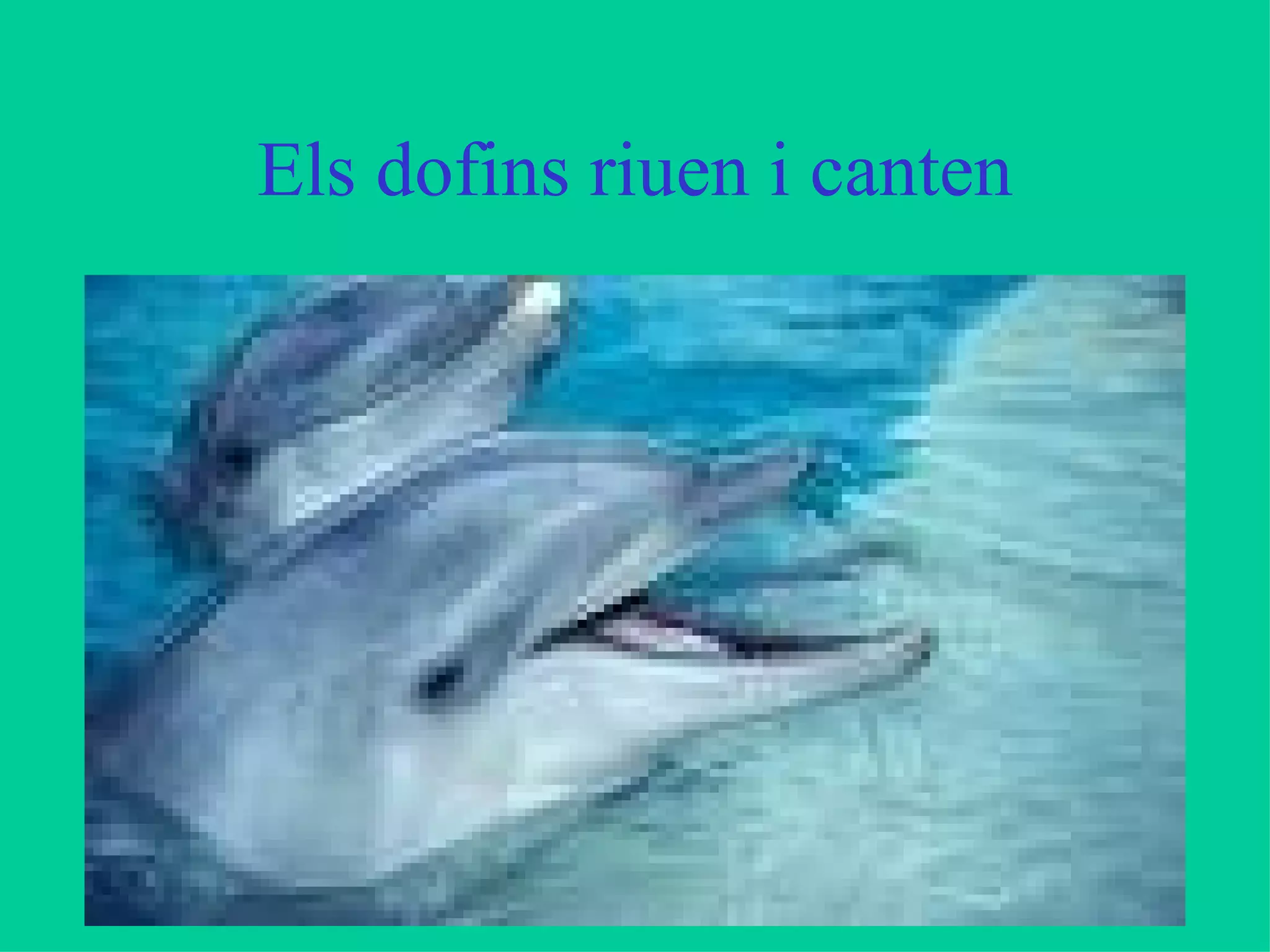 Els Dofins | PPT