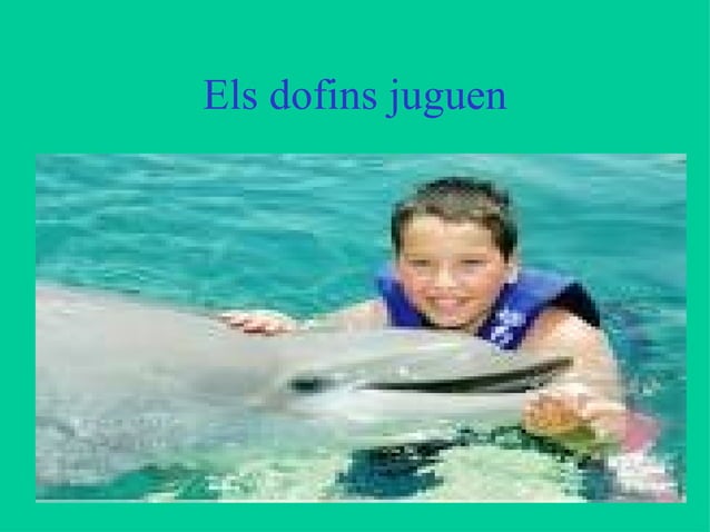 Els Dofins | PPT