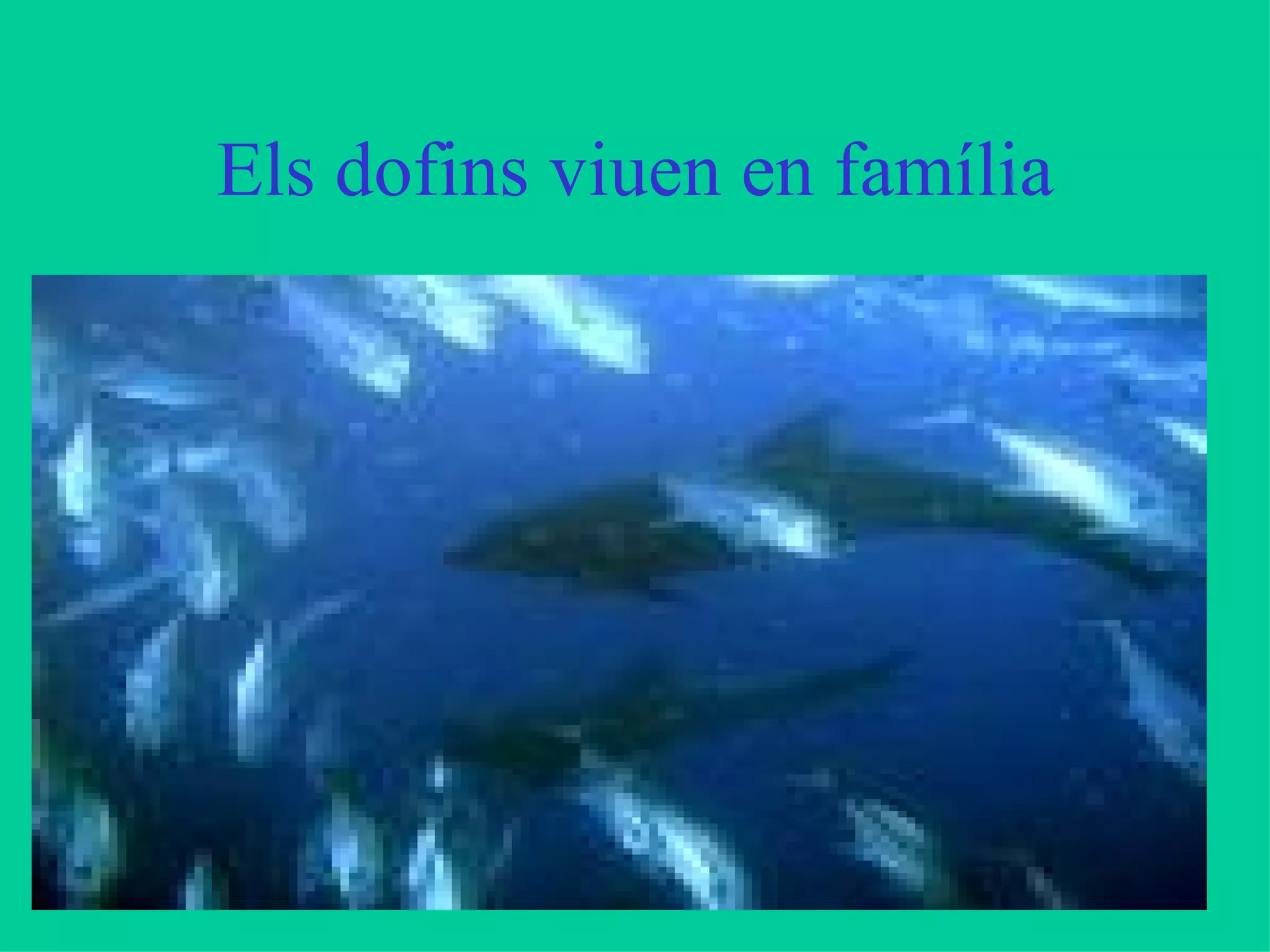 Els Dofins | PPT
