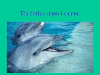 Els Dofins | PPT