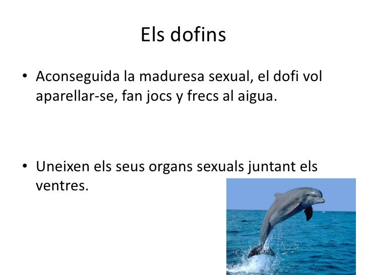 Els dofins la reproduccio oscar millan