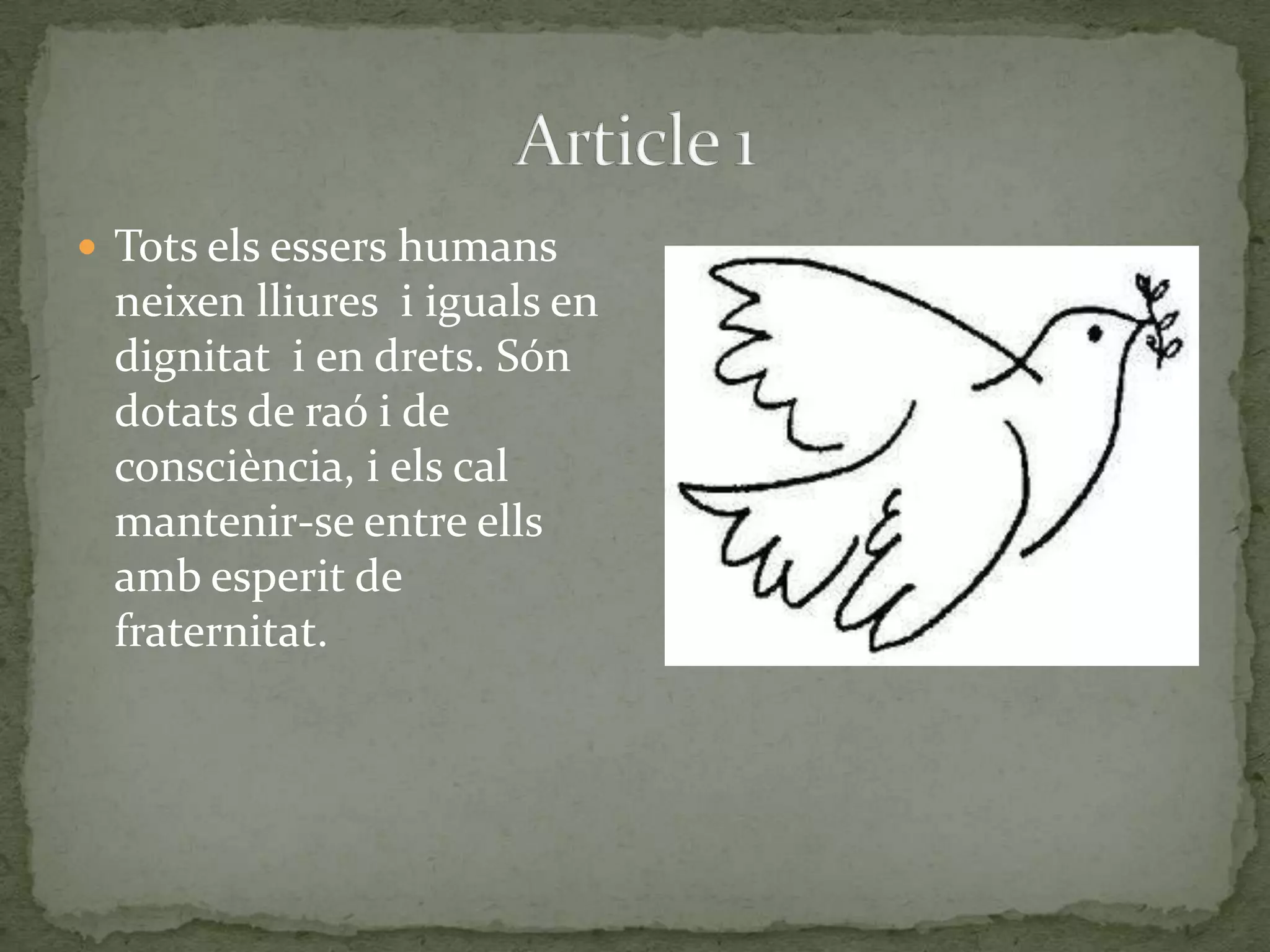 Els drets humans | PPTX