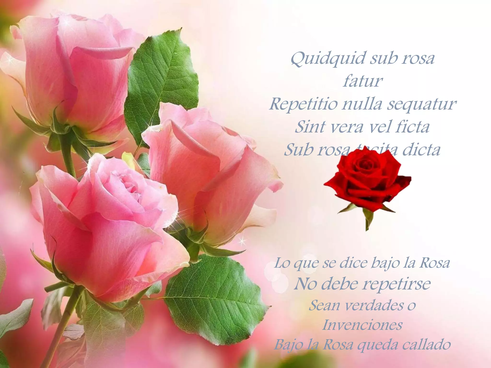 El secreto de la rosa y las plumas al viento | PPTX | Landscaping ...