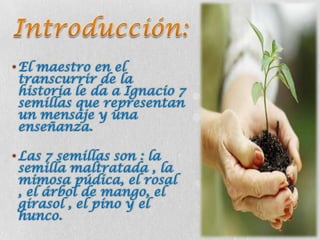 El secreto de las 7 semillas | PPTX