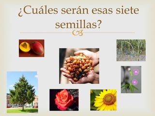 El secreto de las siete semillas | PPT | Books and Literature
