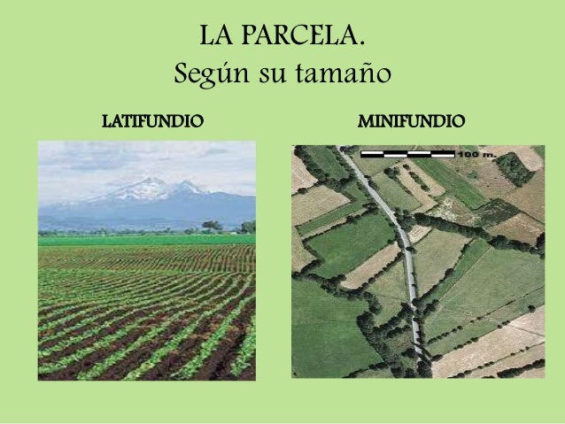El sector primario