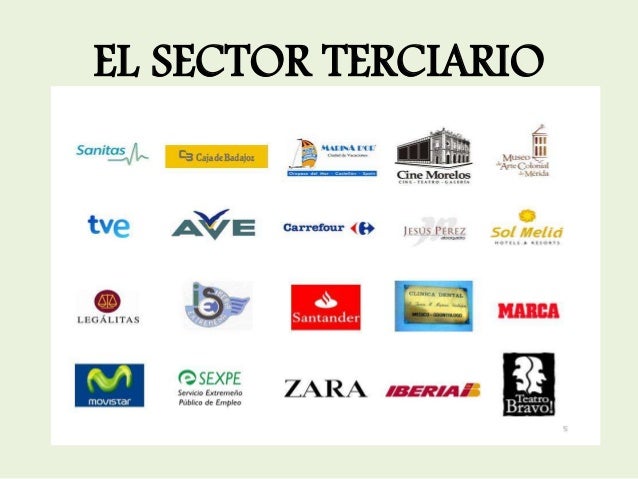 El sector terciario