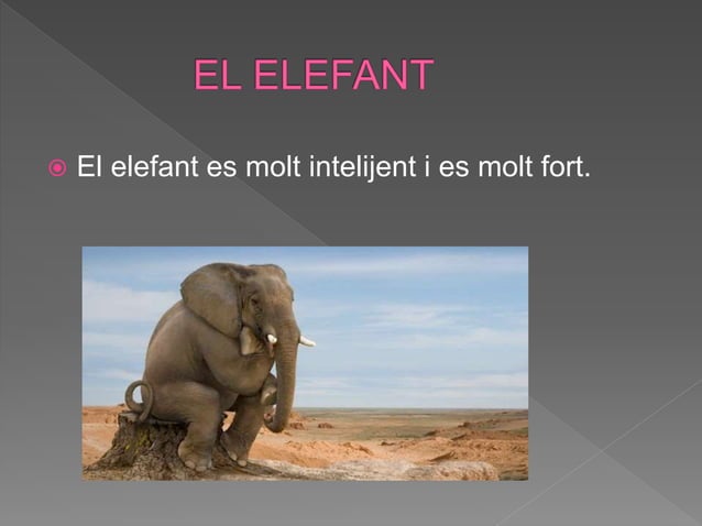 Els elefants | PPTX