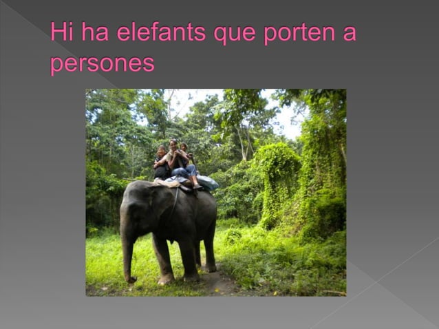Els elefants | PPTX