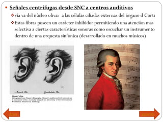 El sentido de la audición | PDF