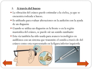 El sentido de la audición | PDF