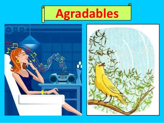 El sentido de la audición 2º