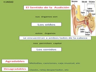 El sentido de la audicion | PPT