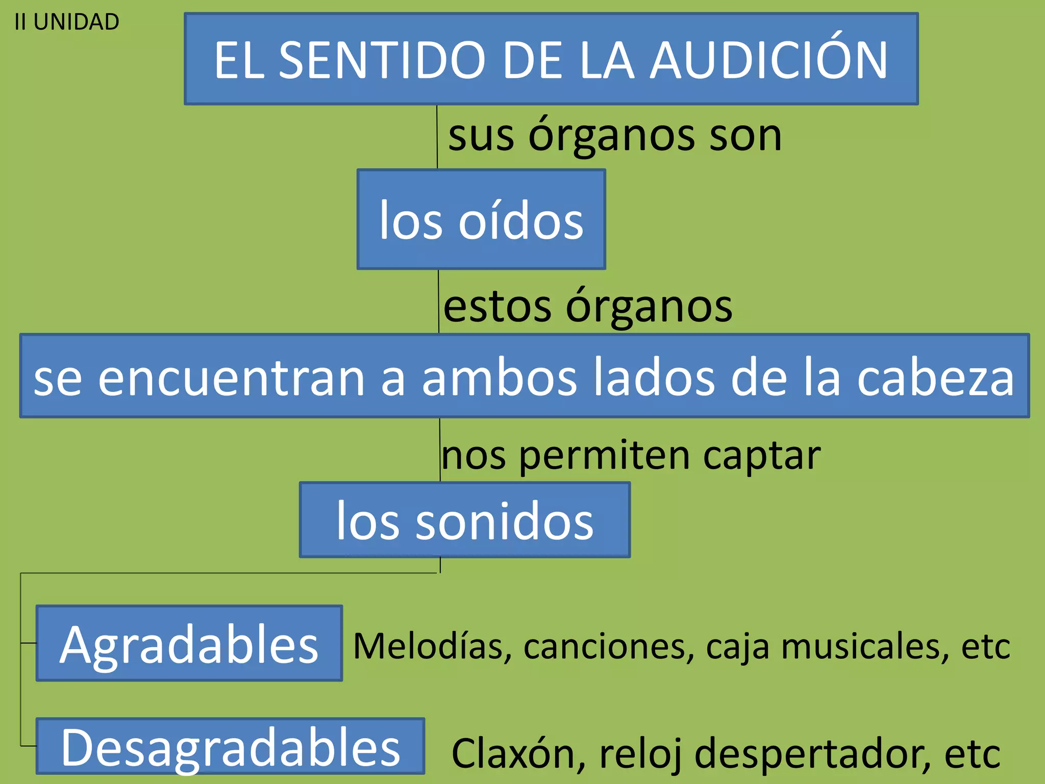 El sentido de la audicion | PPTX