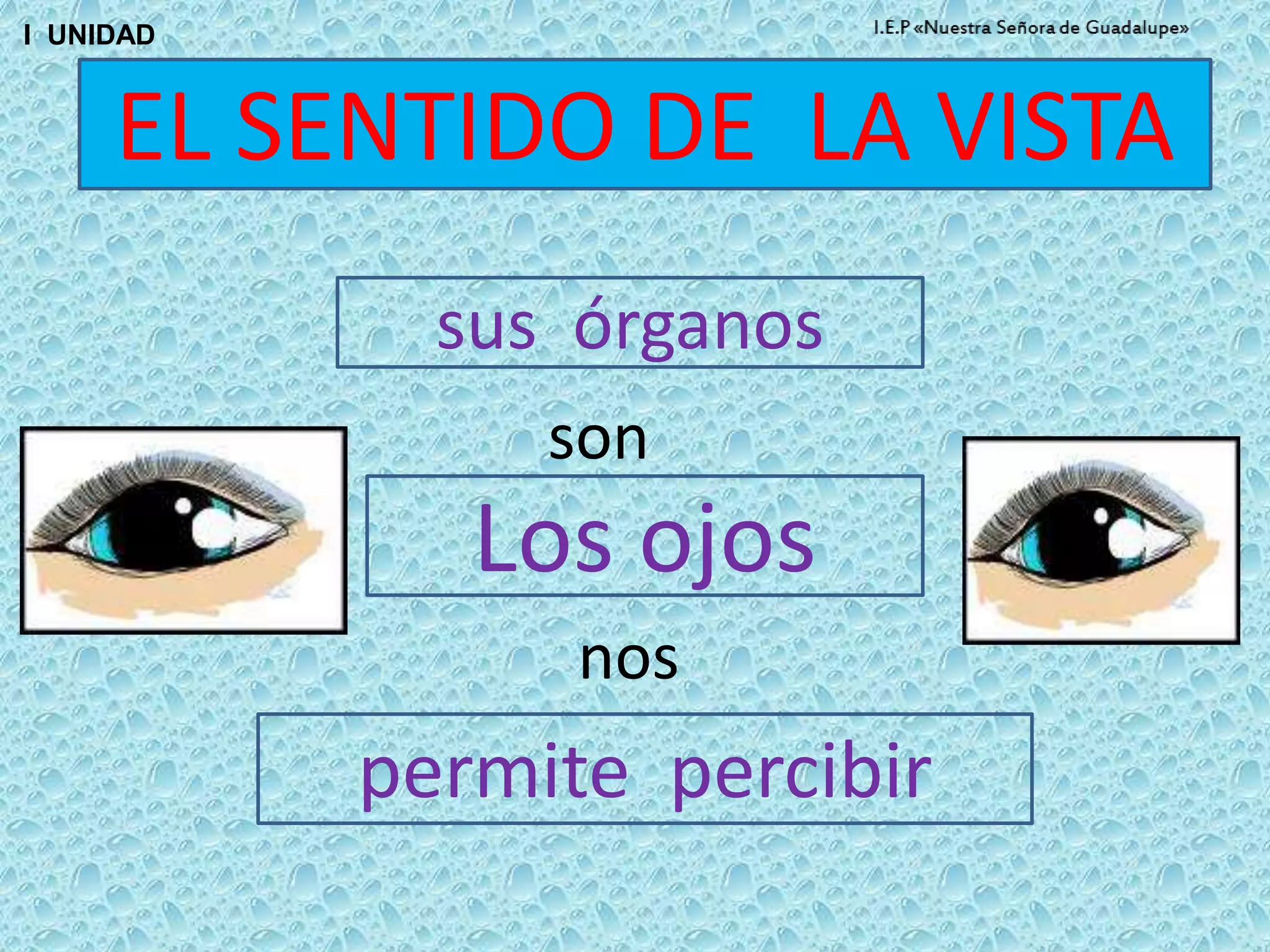 El sentido de la vista | PPTX