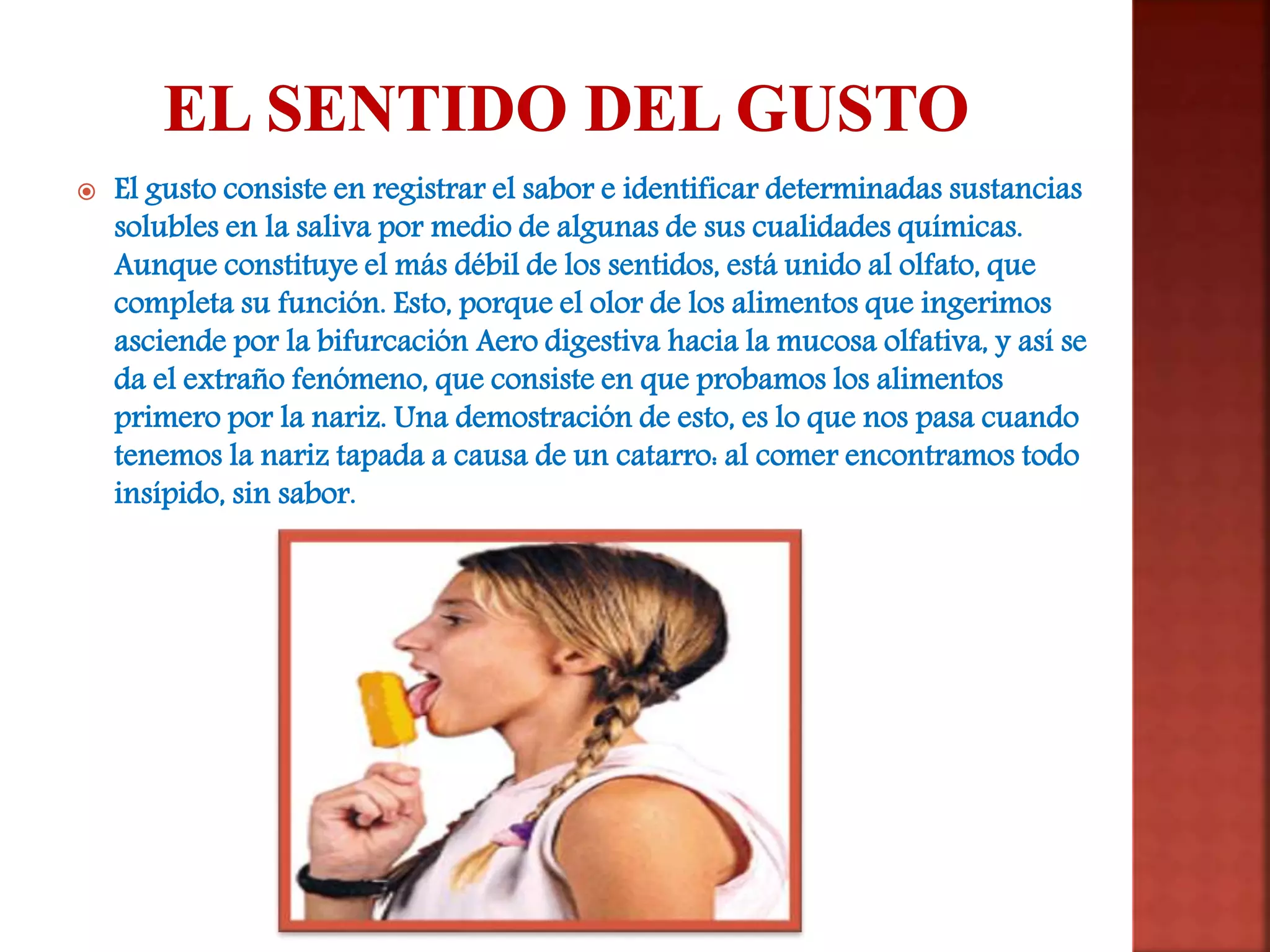 El sentido del gusto» | PPT
