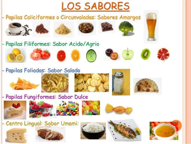 El Sentido Del Gusto