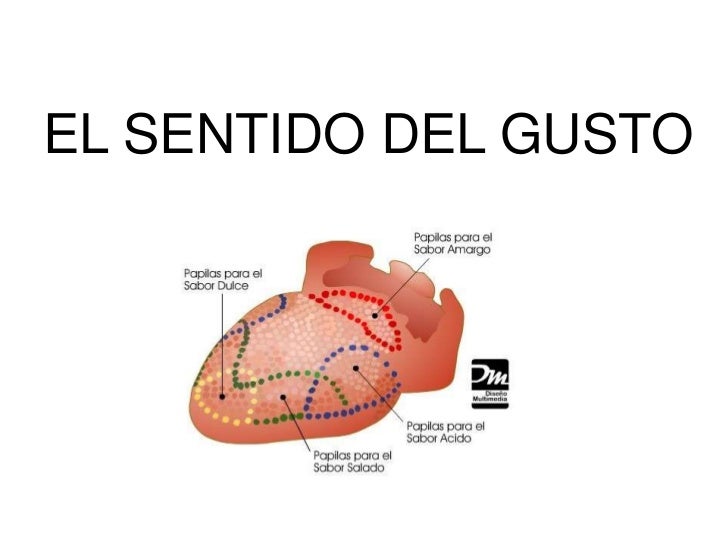 Sentido del gusto en imágenes - Imagui