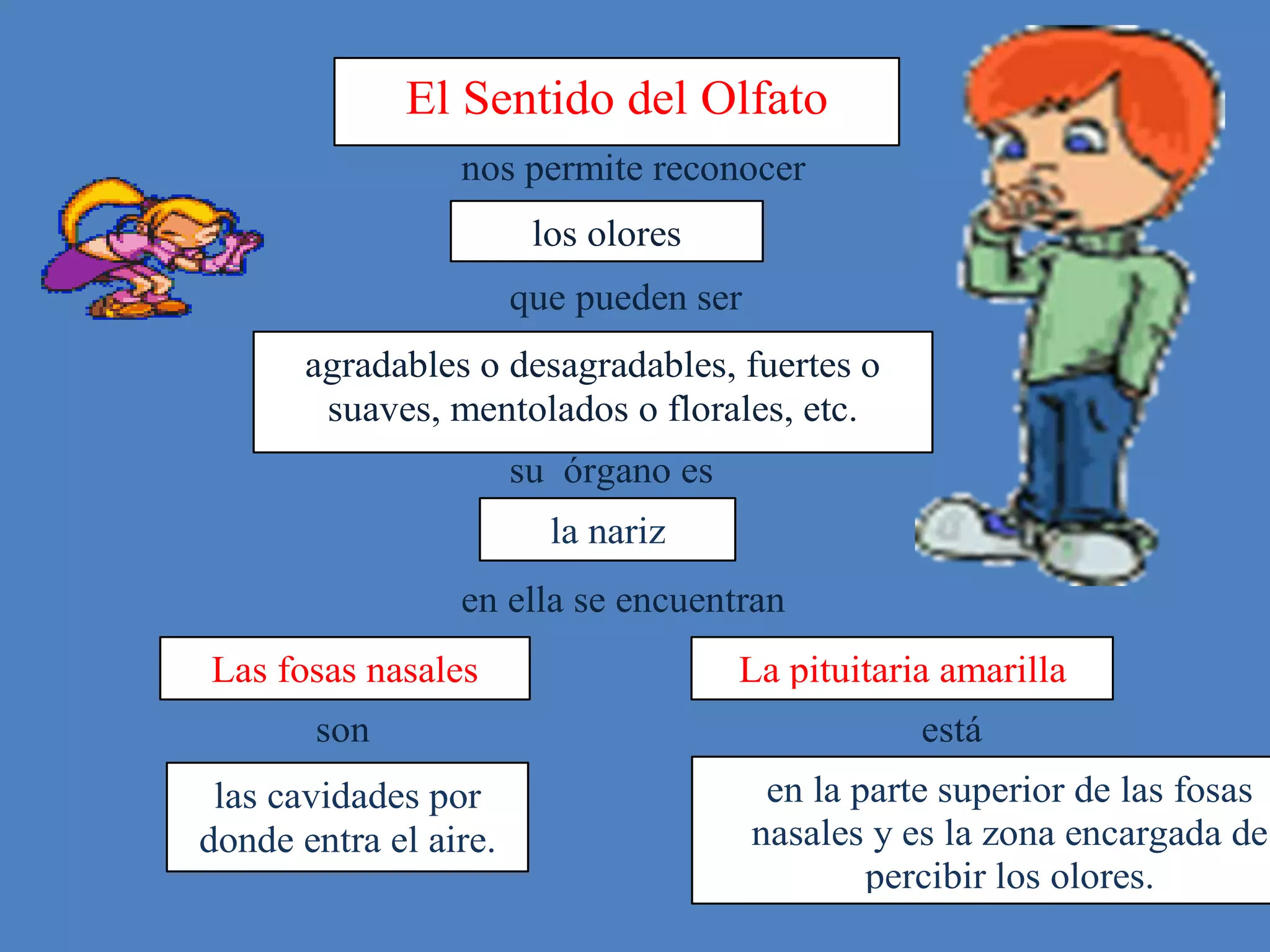 El sentido del olfato | PPTX