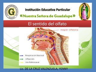 El sentido del olfato | PPTX