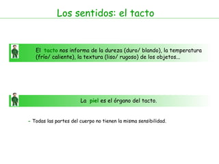 El sentido del tacto | ODP