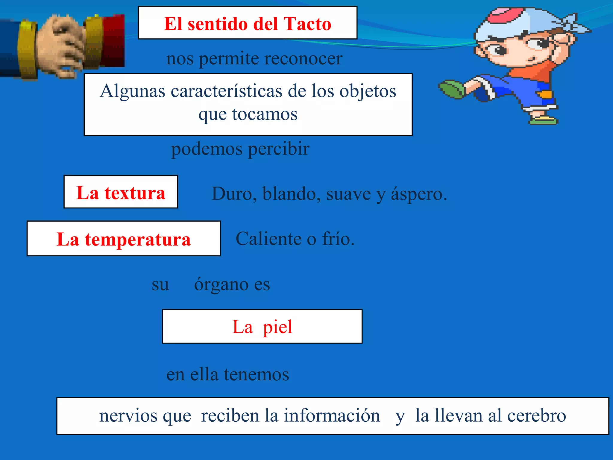 El sentido del tacto | PPTX
